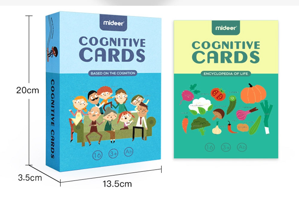 SmartThinker Cognitive Flash Cards – Bright Blue Bug